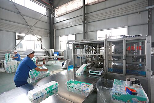 Leading Toilet Paper Manufacturer in China | Top Source Paper