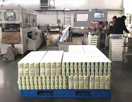 Facial Tissue Box & Soft Pack Factory | Top Source Paper